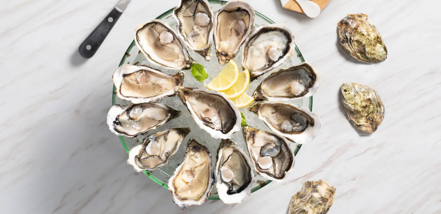 The Apron Oyster Bar & Grill | Galaxy Macau, the World-Class Asian ...